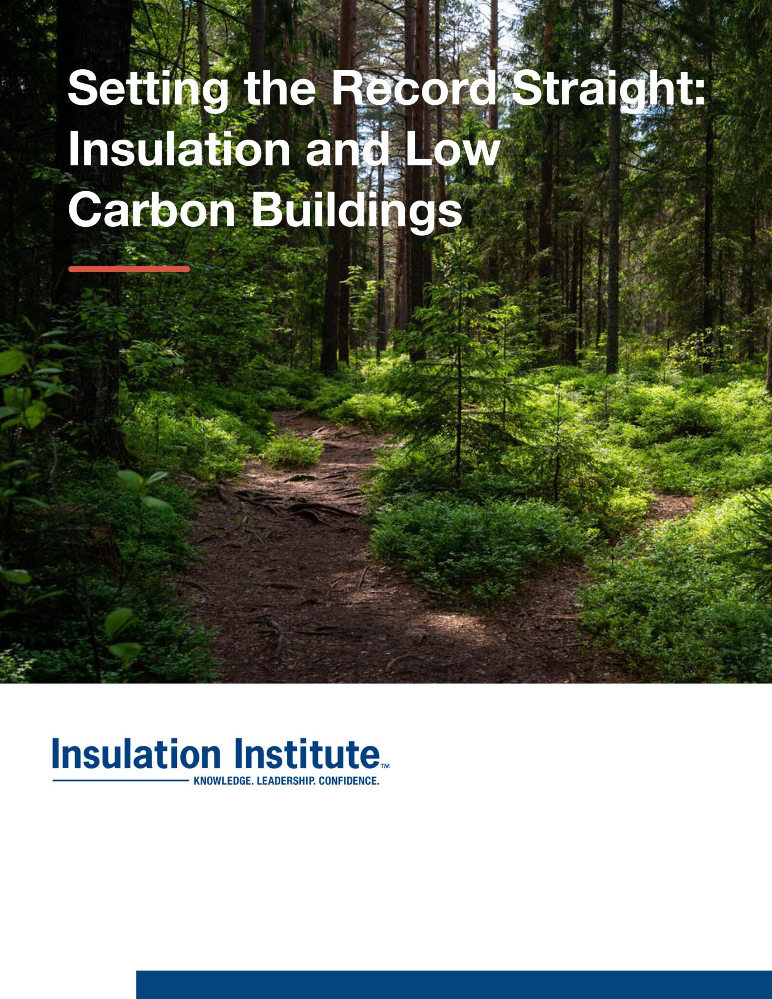Setting the Record Straight on Low-Carbon Insulation and Buildings ...